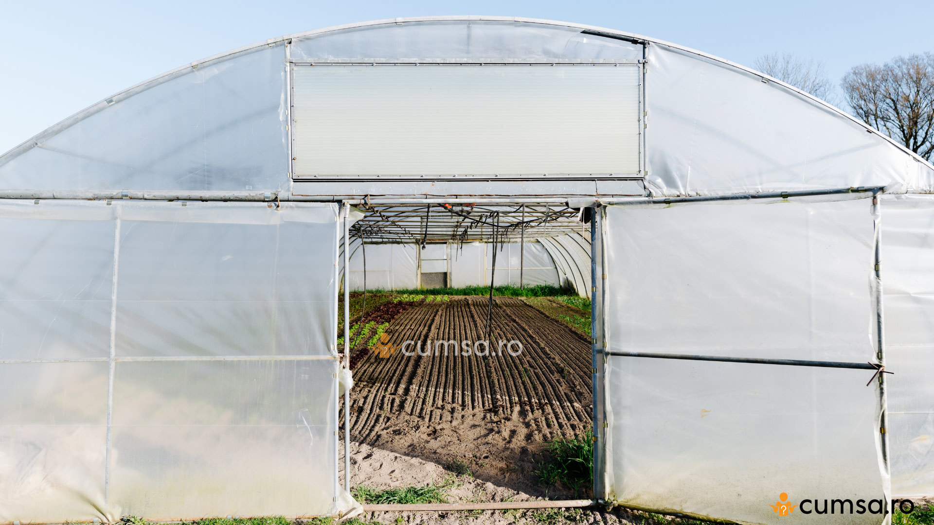 Cum sa construiesti un solar pentru legume, in mod corect. Greseli pe ...