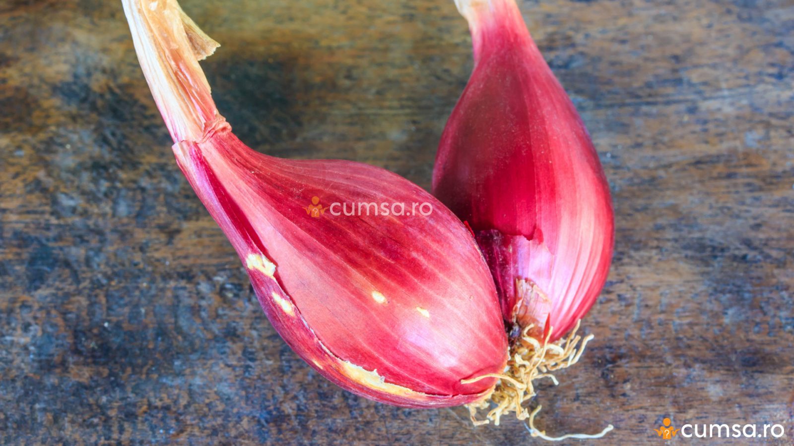 Cum sa cultivi ceapa esalota. Beneficii, conditii de crestere, boli si ...