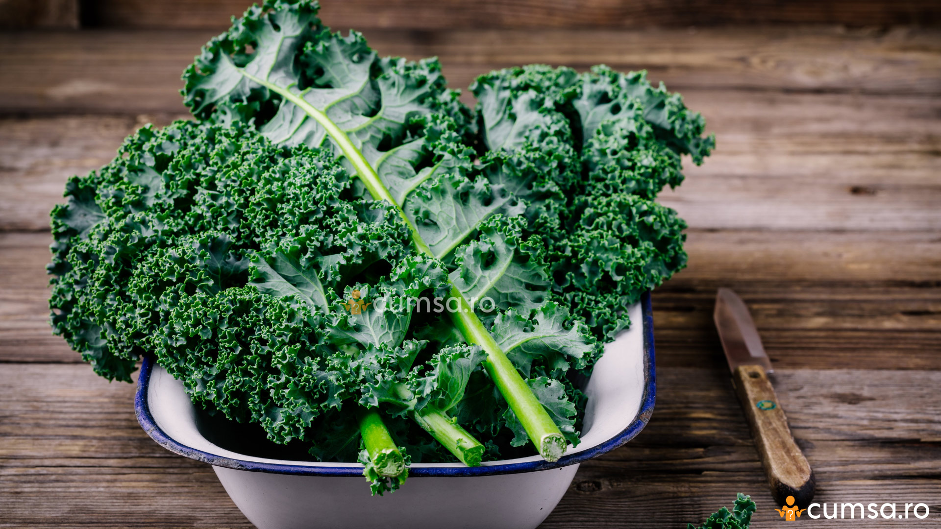 Cum sa cultivi varza kale. Beneficii, plantare, ingrijire, boli si ...