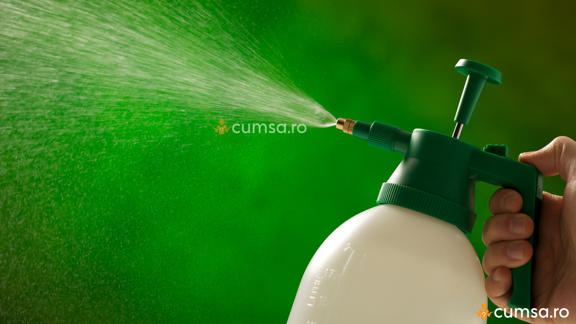 Cum sa alegi un erbicid eficient pentru gradina ta - cumsa.ro