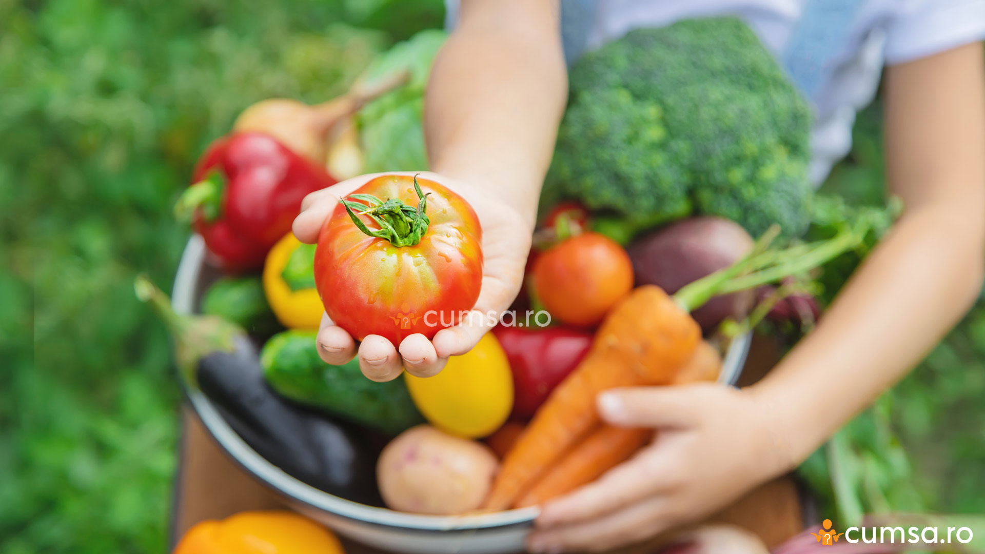 Cum sa iti dai seama daca legumele cumparate sunt proaspete - cumsa.ro