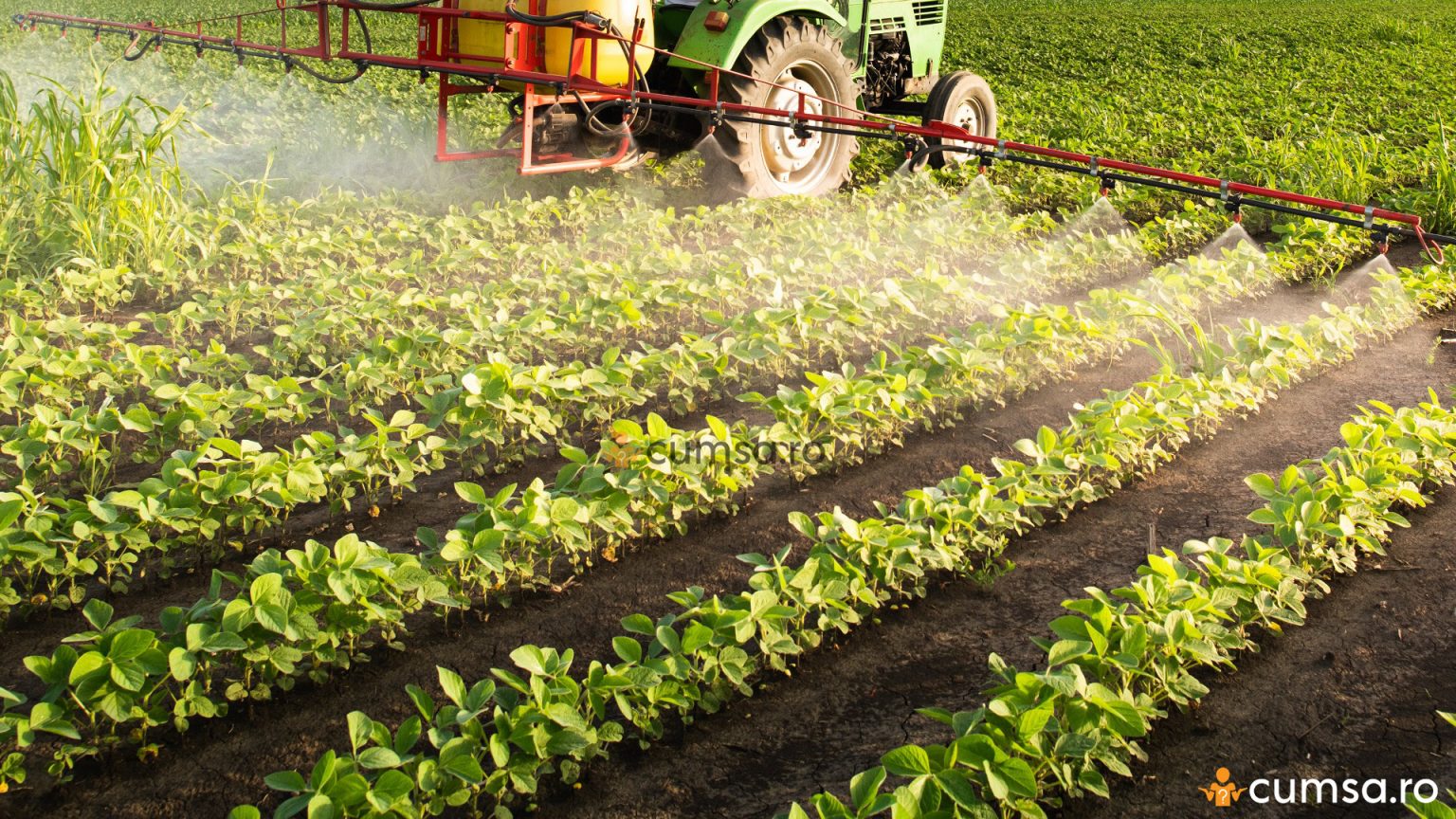 Cum sa alegi un erbicid eficient pentru gradina ta - cumsa.ro