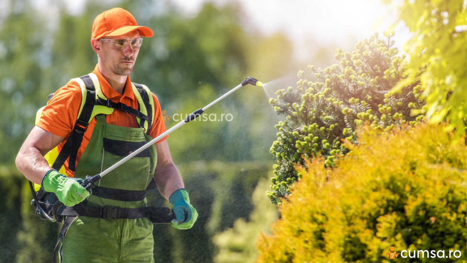 Cum sa prepari un insecticid bio cu ulei de neem pentru a iti proteja ...