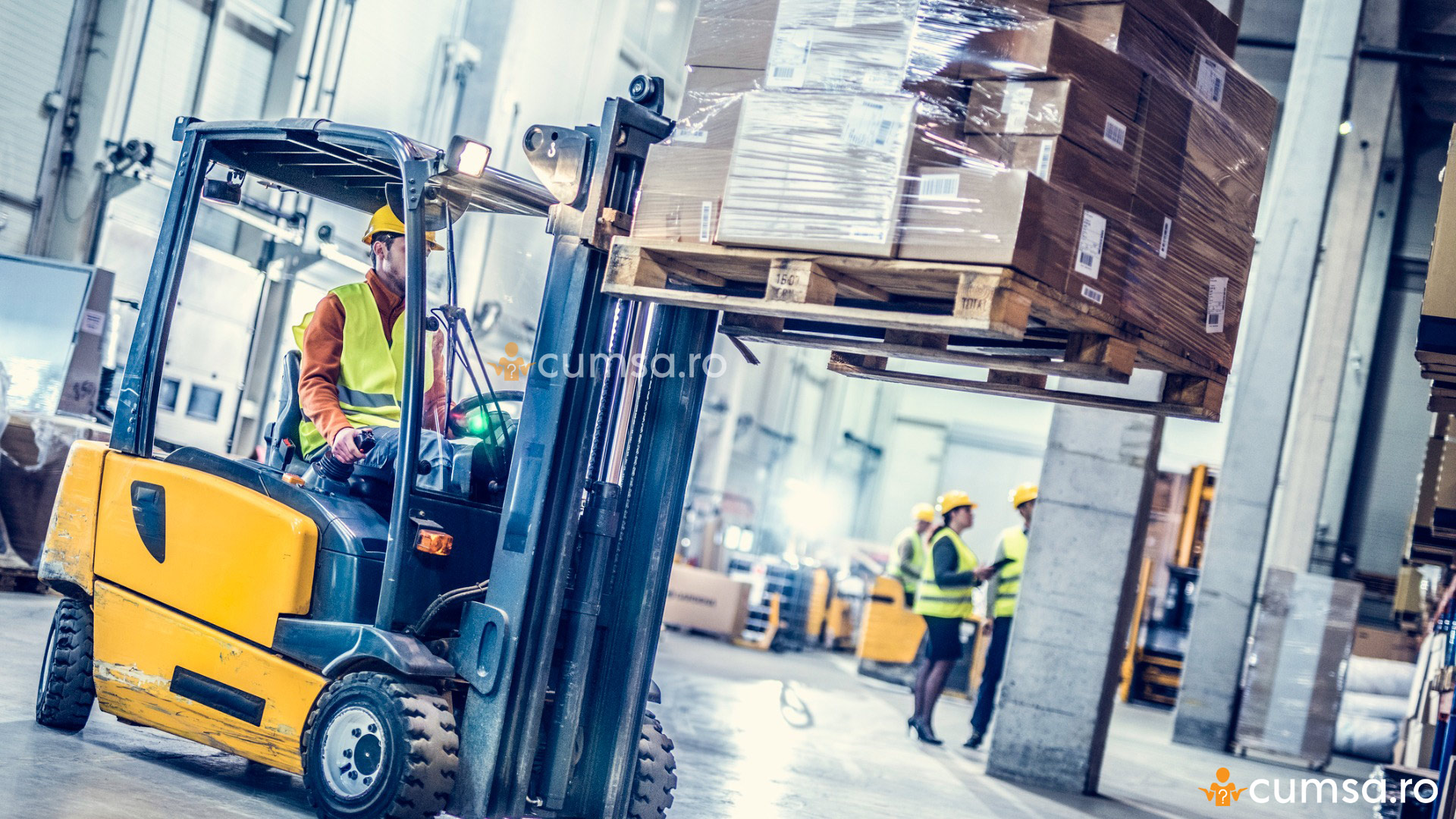 Cum sa devii manipulant de marfa. Salariu, studii si abilitati necesare ...