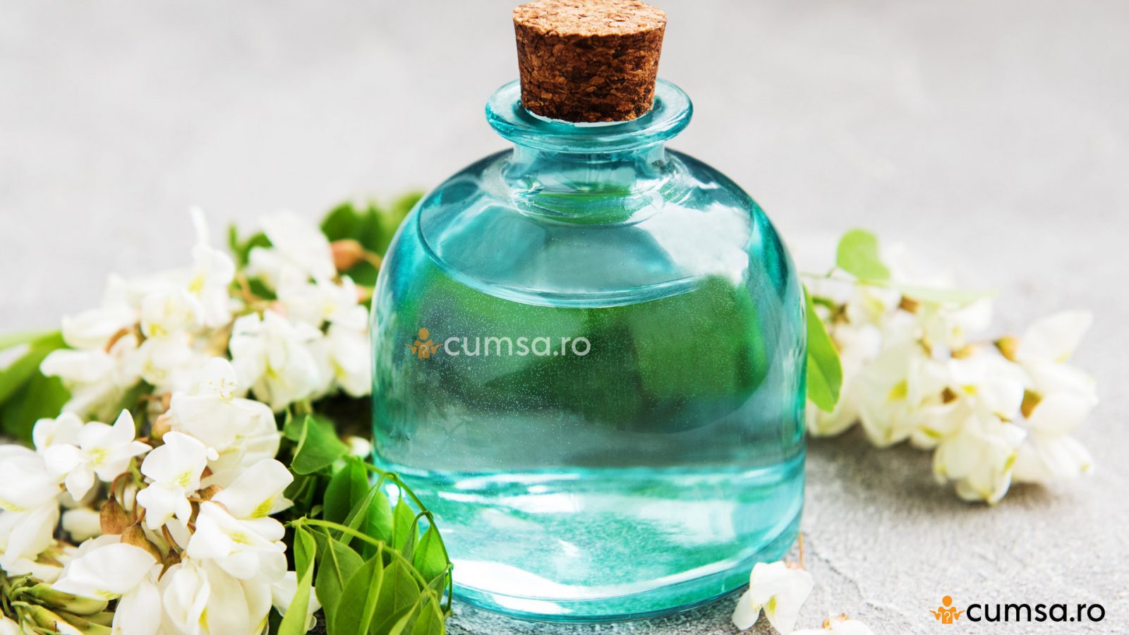 Cum sa faci tuica din flori de salcam - cumsa.ro
