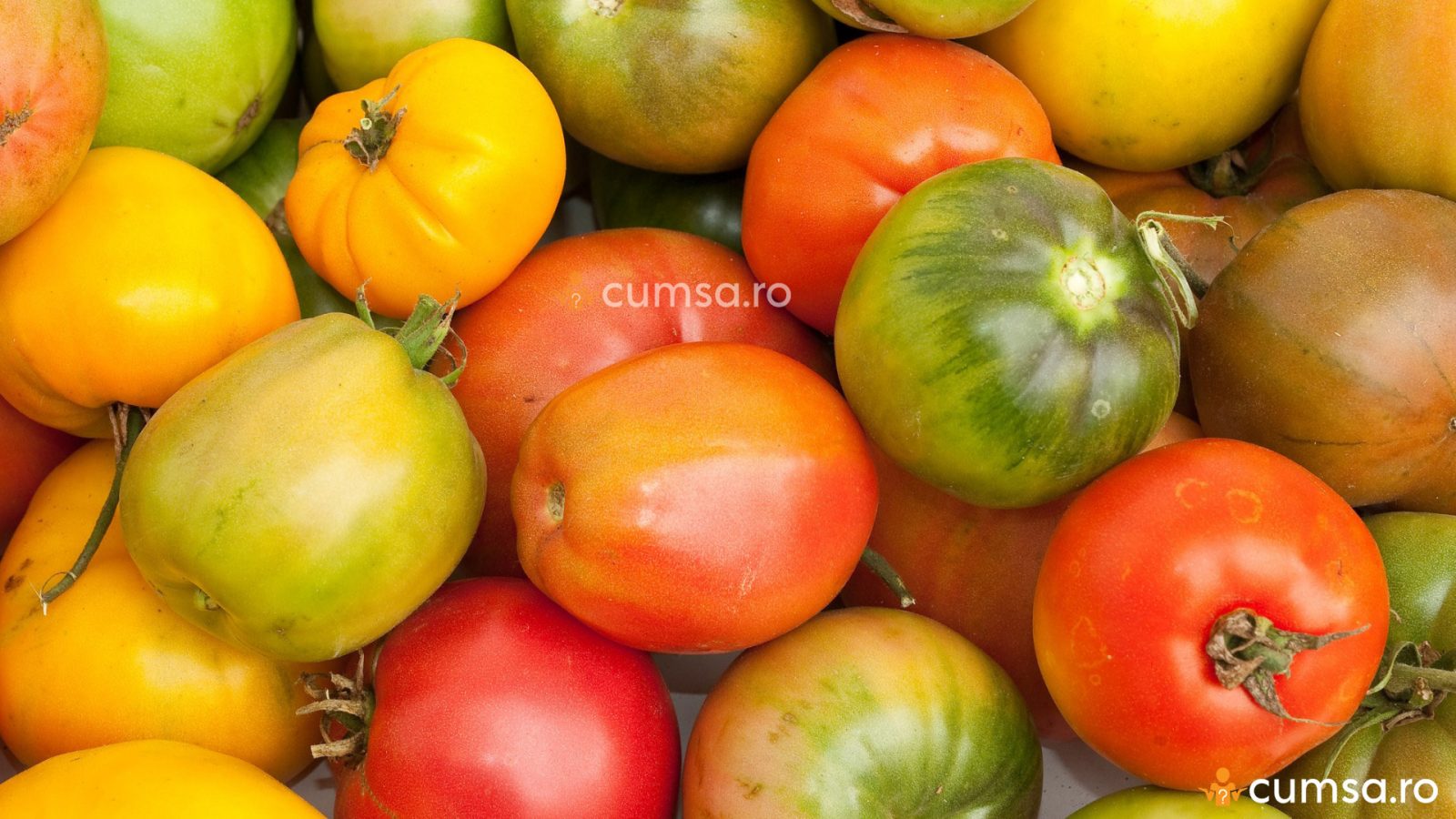 Cum sa ajuti rosiile verzi sa se coaca si cum le pastrezi - cumsa.ro