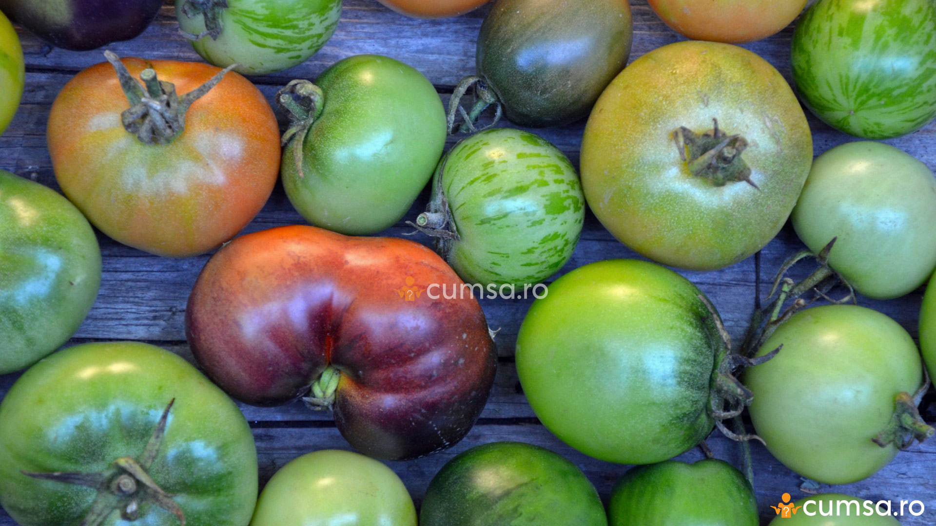 Cum sa ajuti rosiile verzi sa se coaca si cum le pastrezi - cumsa.ro