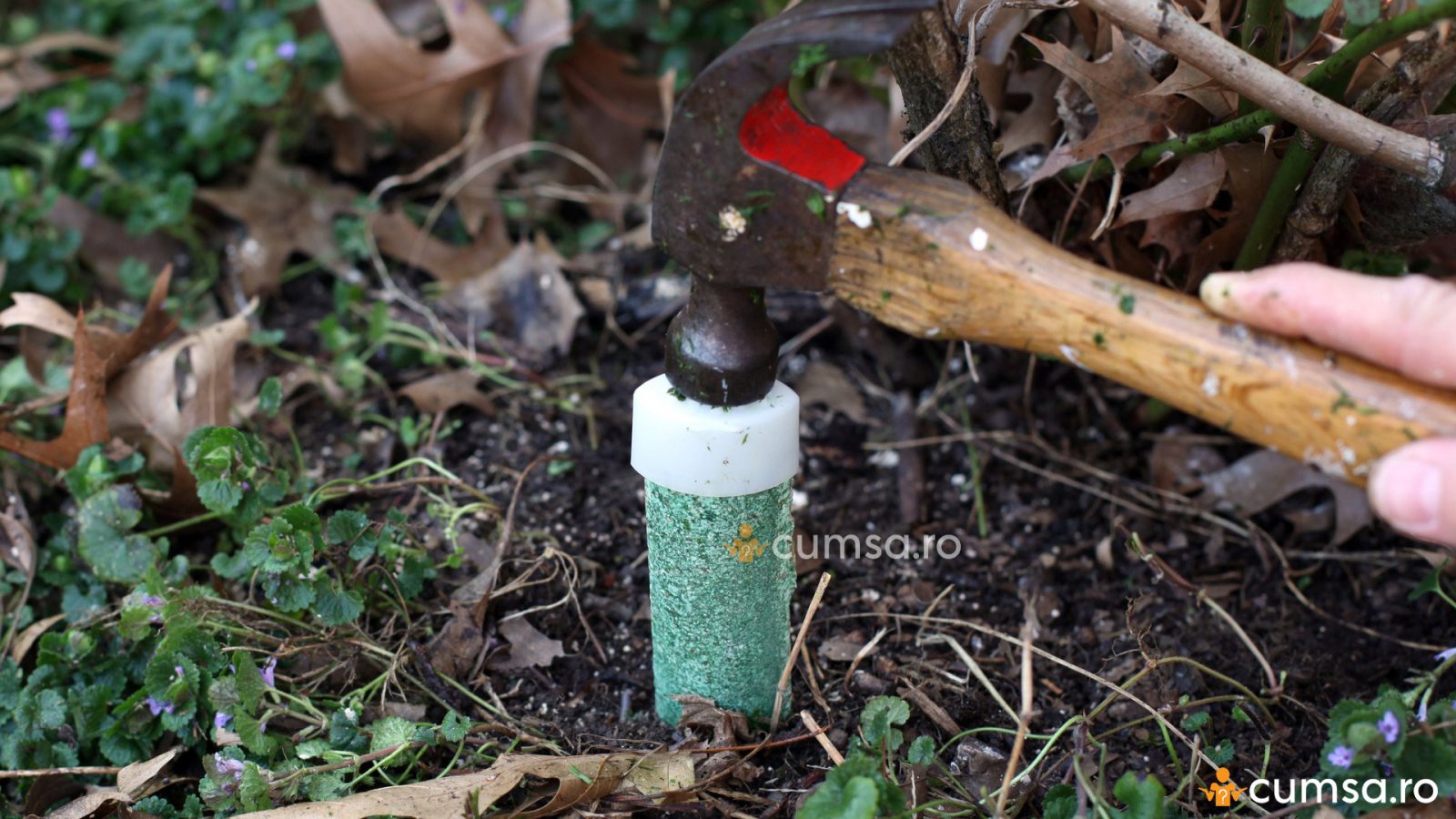 Cum sa folosesti tepuse fertilizante pentru pomi fructiferi - cumsa.ro