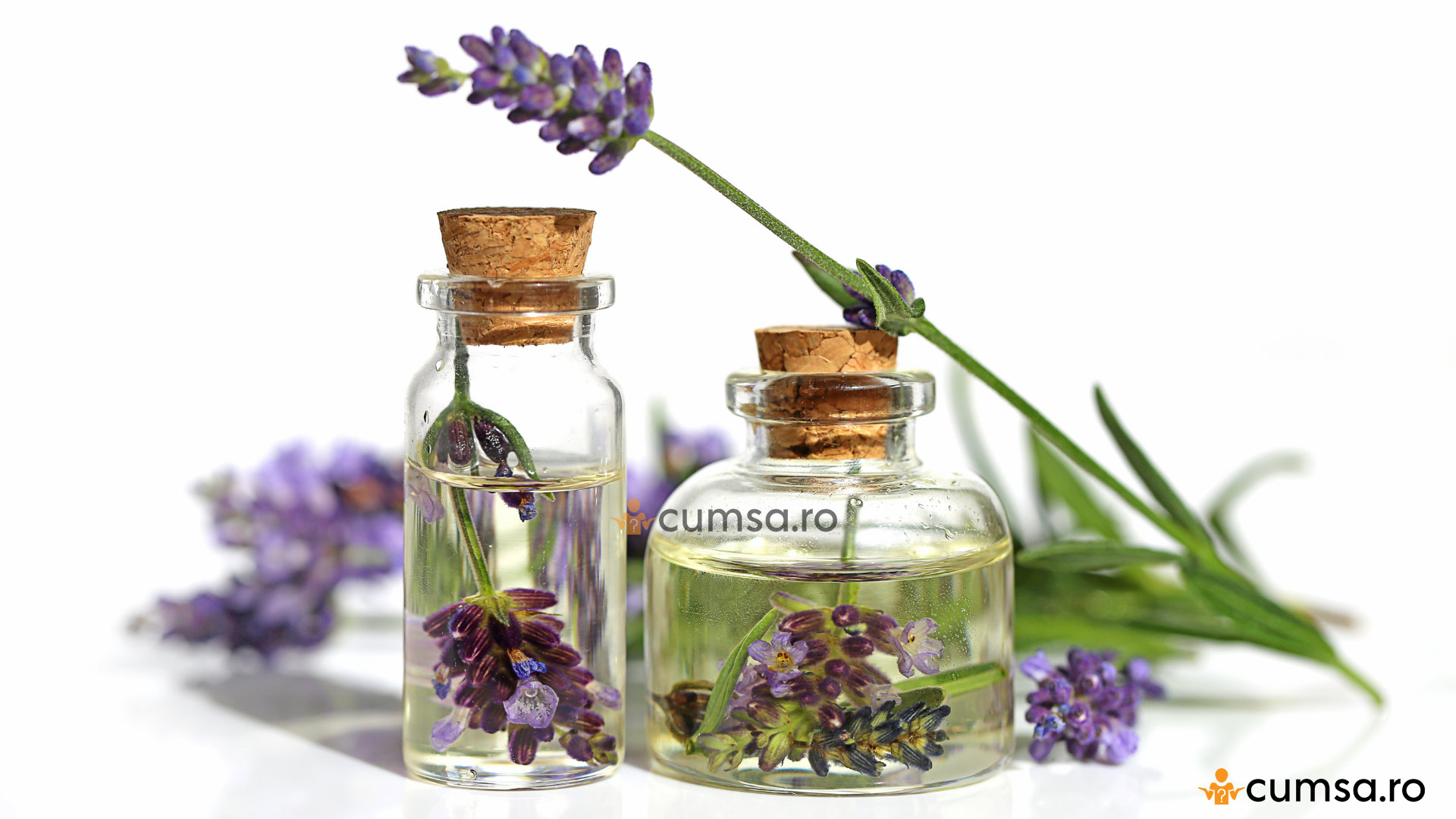 Cum sa faci ulei de lavanda la tine acasa si la ce il poti folosi ...