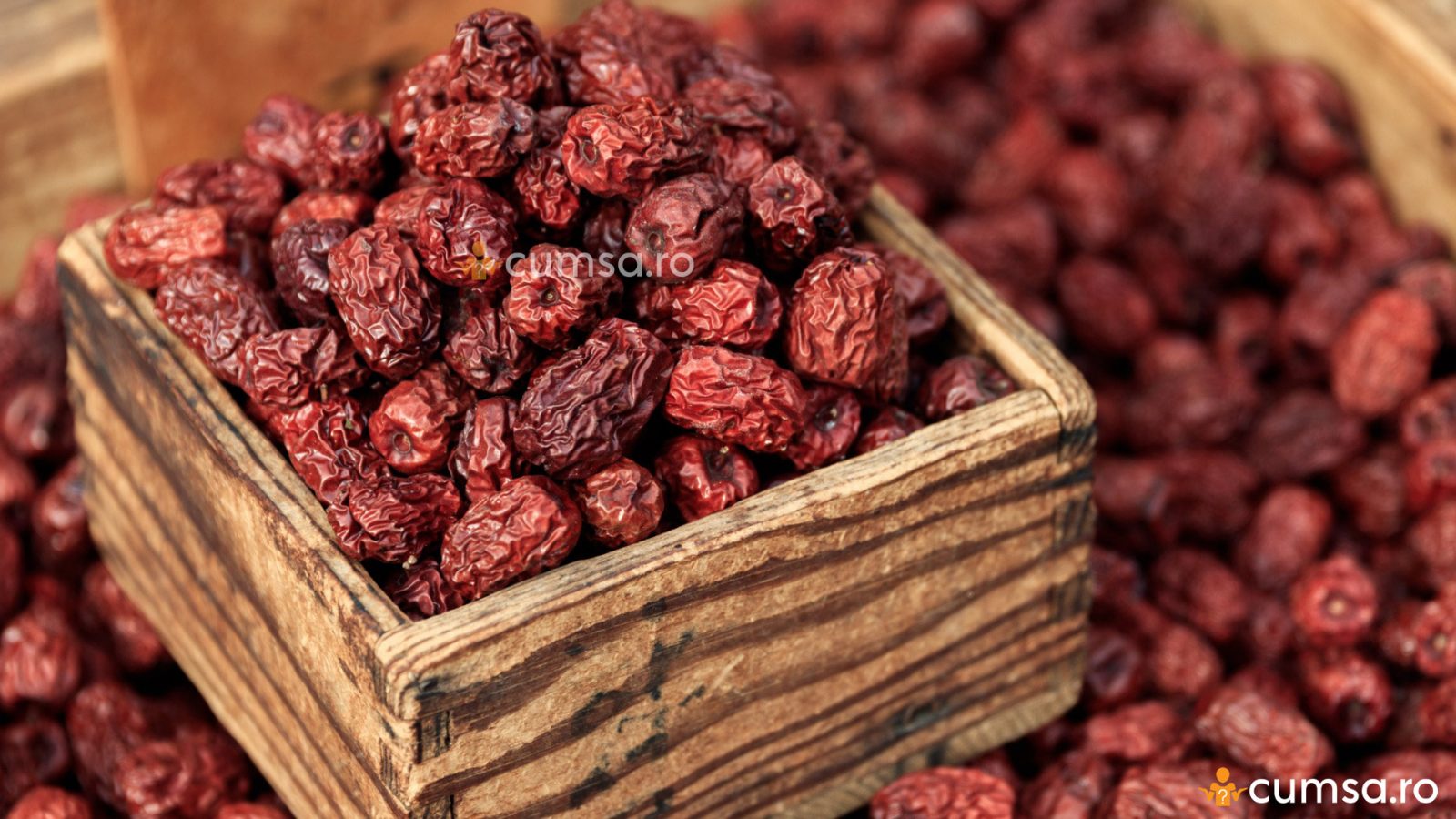 Cum sa cresti curmalul chinezesc. Ingrijire, inmultire, boli si ...