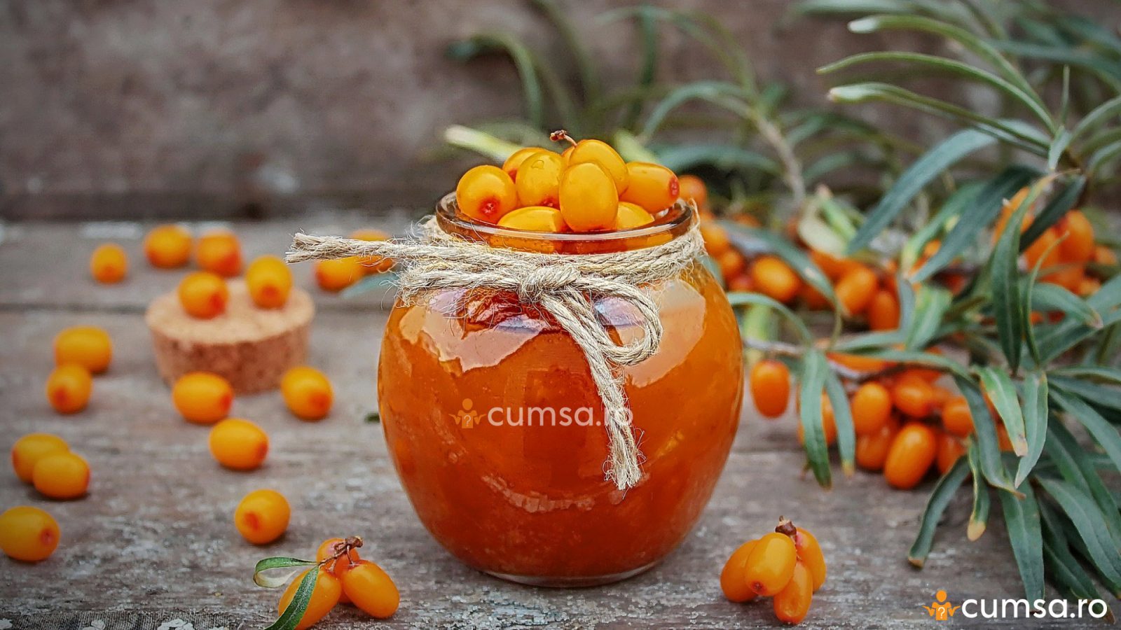 Cum sa folosesti catina: proprietati, beneficii, utilizare ...