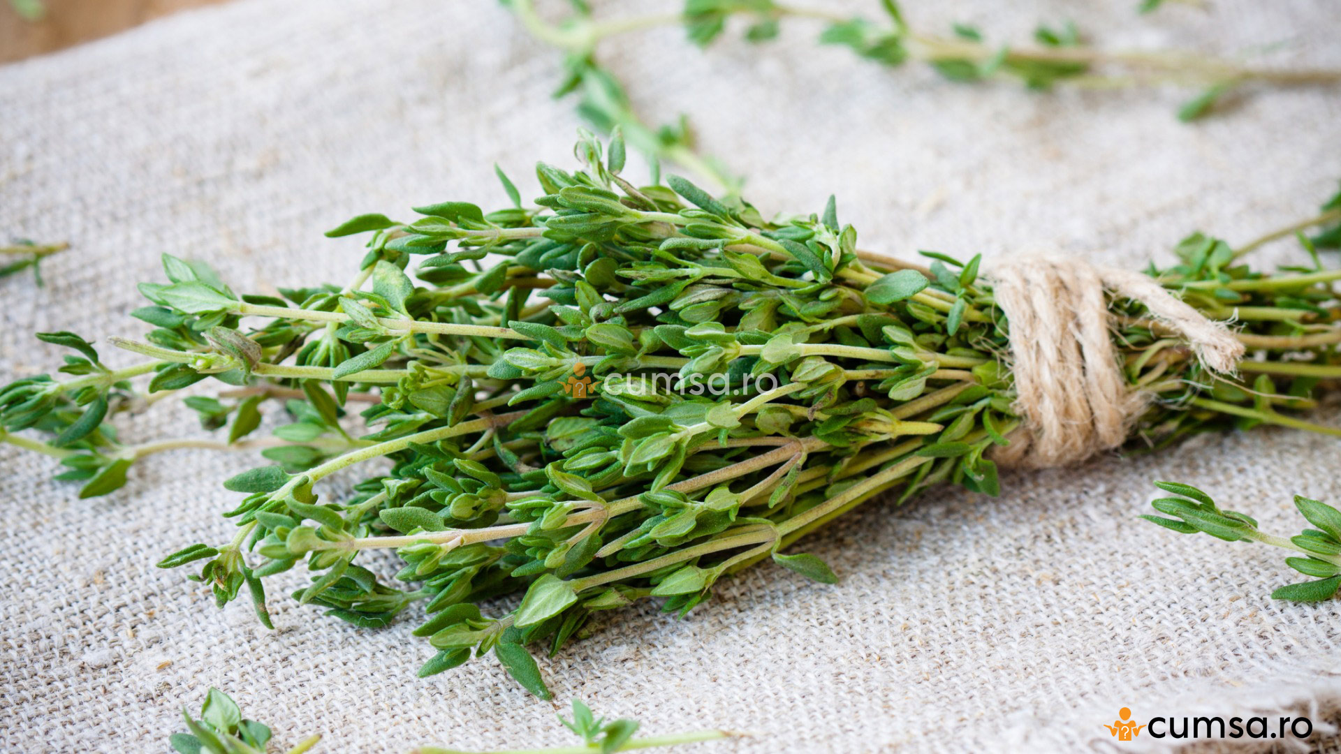 Cum sa folosesti cimbrisorul. Beneficii, proprietati, ceai, utilizare ...