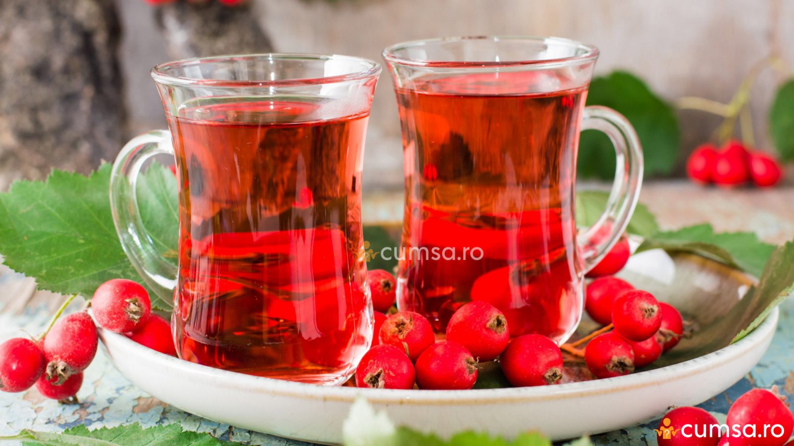 Cum sa folosesti paducelul. Proprietati, beneficii, utilizare si ...