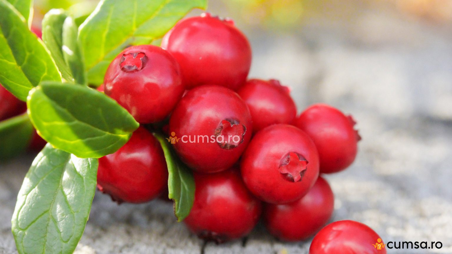 Cum sa folosesti merisorul. Proprietati, beneficii, utilizare ...
