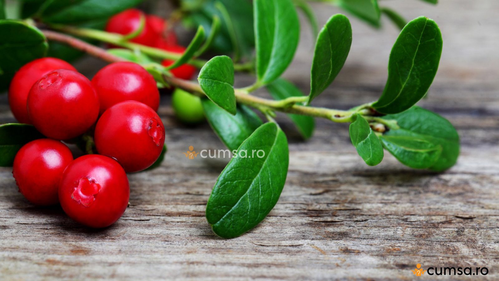 Cum sa folosesti merisorul. Proprietati, beneficii, utilizare ...