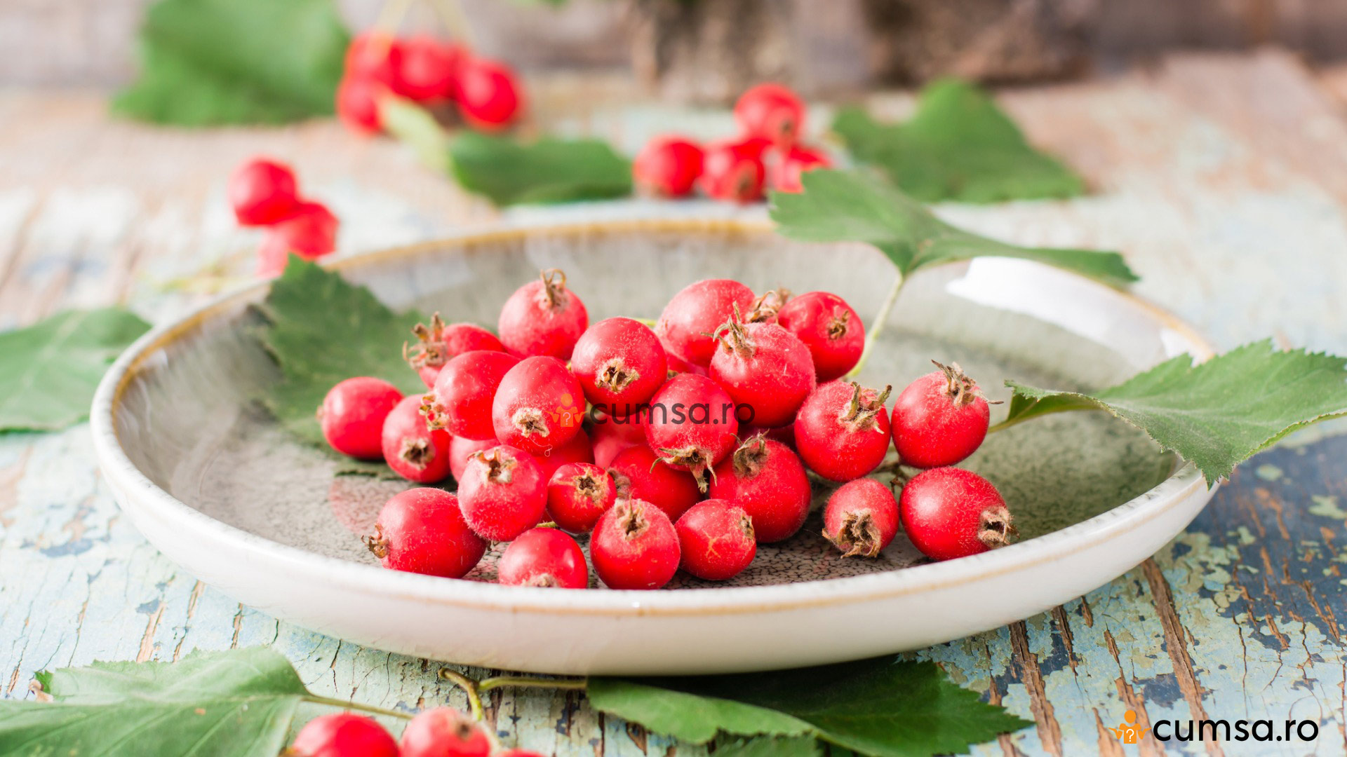 Cum sa folosesti paducelul. Proprietati, beneficii, utilizare si ...