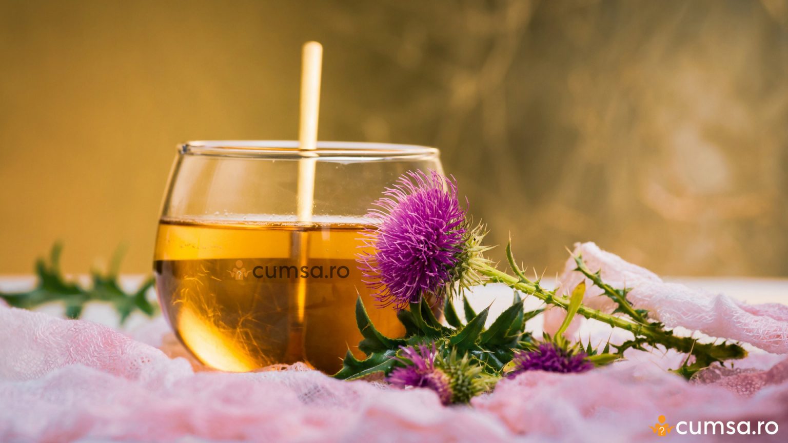 Cum sa folosesti palamida. Proprietati, beneficii, utilizare ...