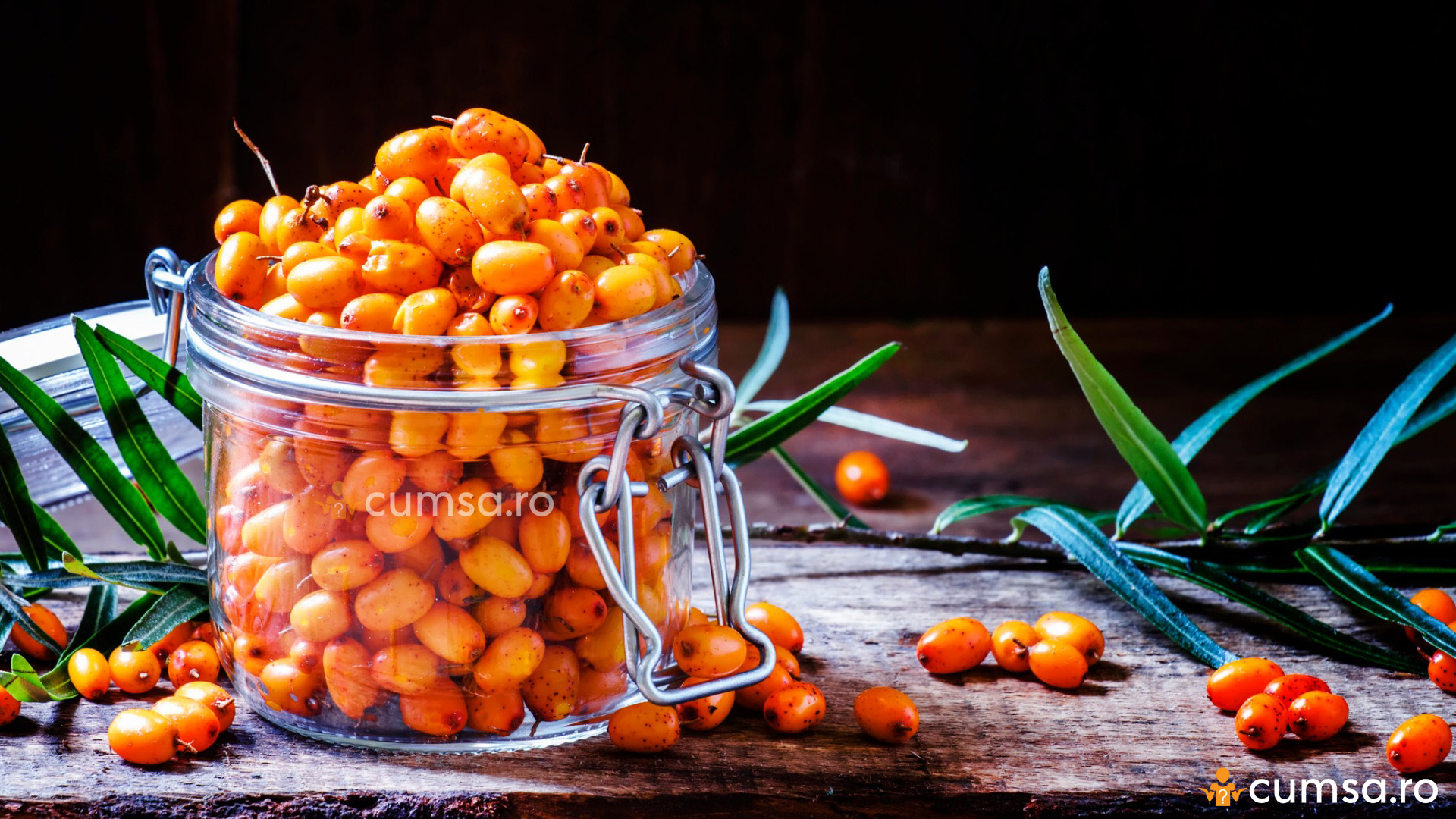 Cum sa folosesti catina: proprietati, beneficii, utilizare ...