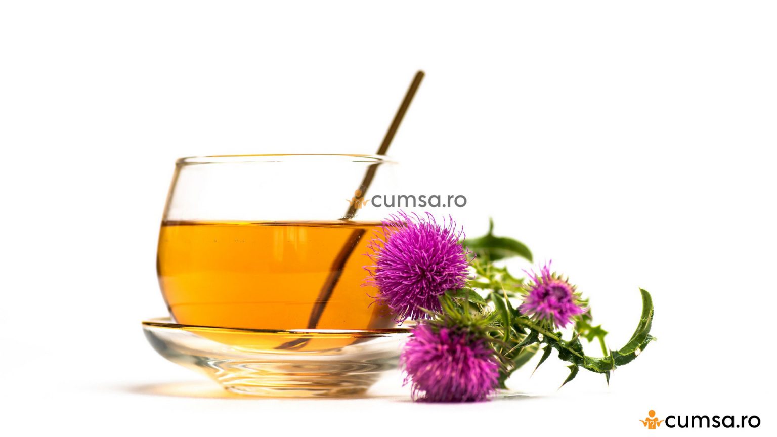 Cum sa folosesti palamida. Proprietati, beneficii, utilizare ...