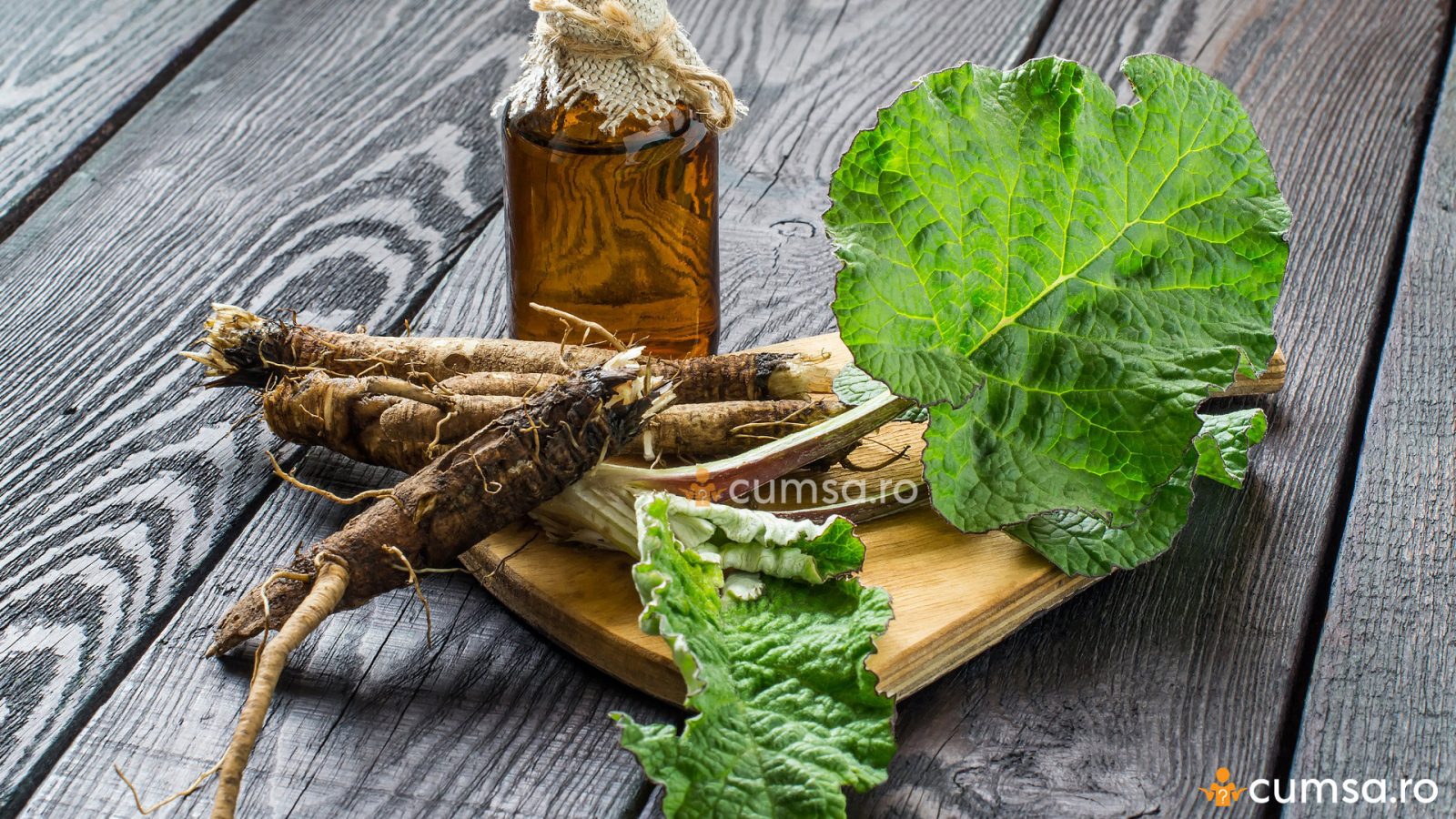 Cum sa folosesti brusturele: proprietati, beneficii, utilizare ...