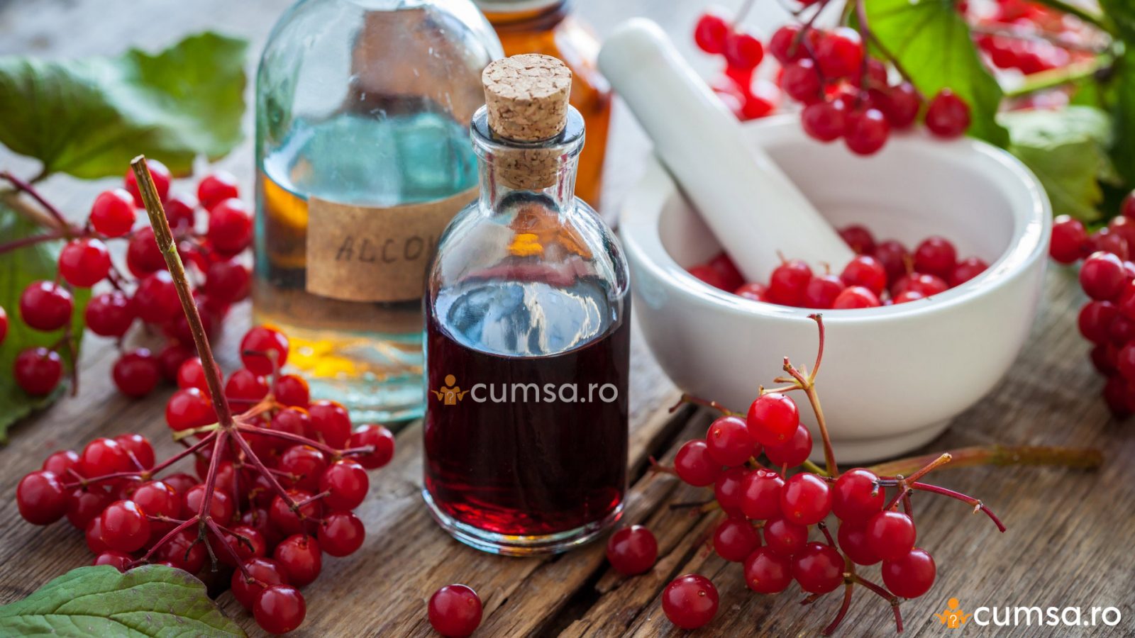 Cum sa folosesti merisorul. Proprietati, beneficii, utilizare ...