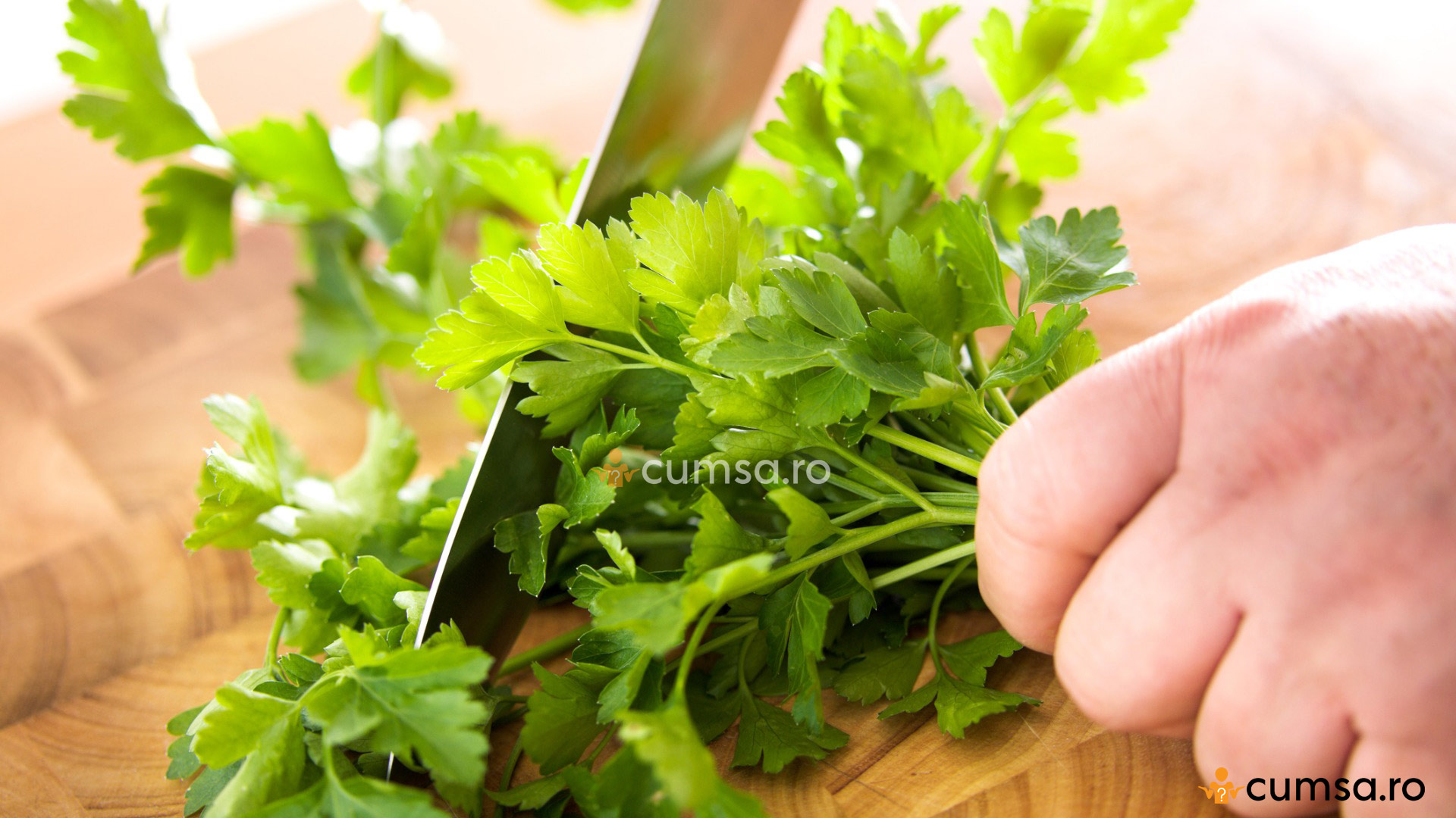 Cum sa folosesti patrunjelul. Beneficii, proprietati, utilizare si ...