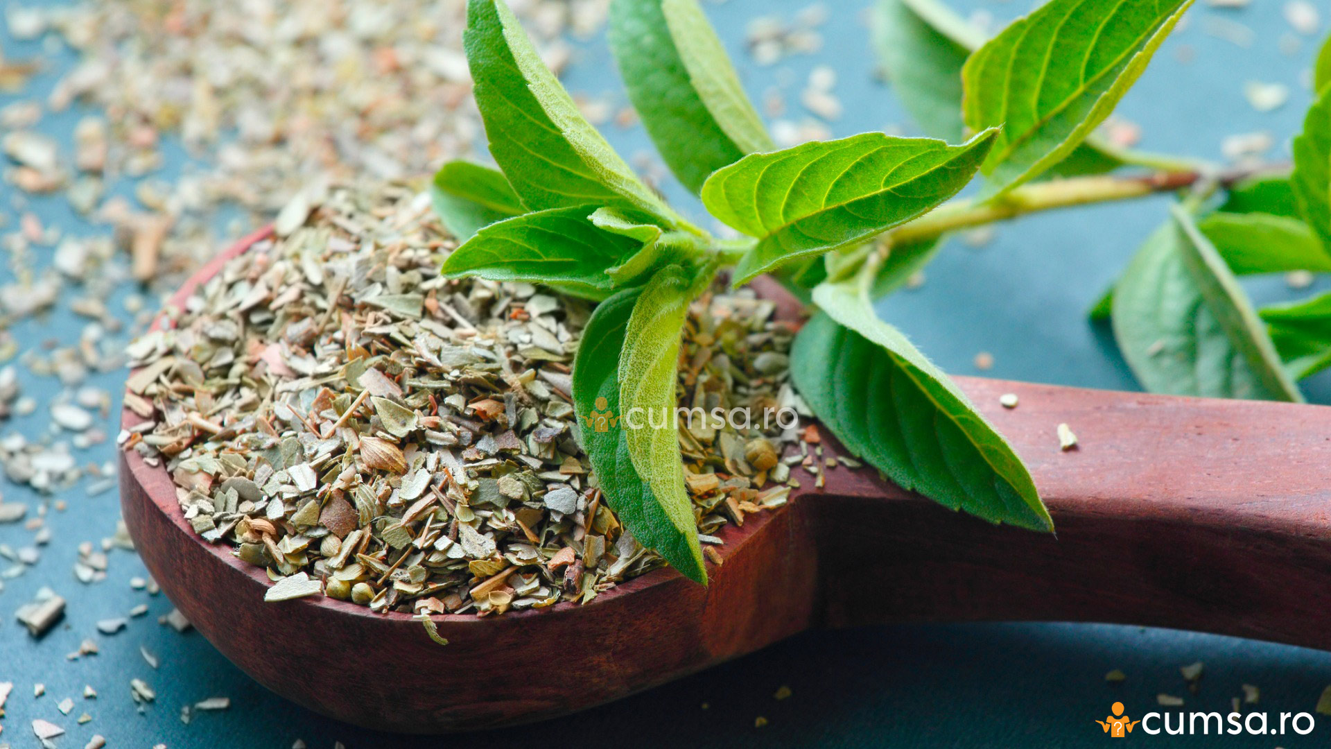 Cum sa folosesti busuiocul. Beneficii, proprietati, utilizare ...