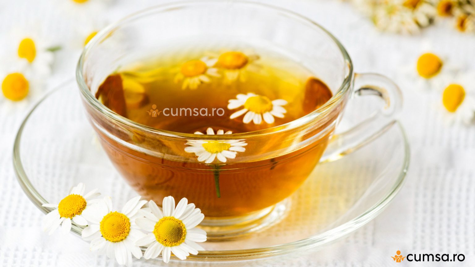 Cum sa folosesti musetelul. Proprietati, beneficii, utilizare si ...