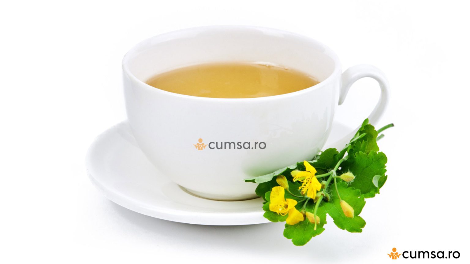 Cum sa folosesti rostopasca. Proprietati, beneficii, utilizare si ...