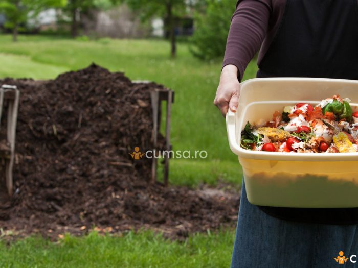 Cum sa faci compost din frunze uscate, un ingrasamant 100% ecologic ...