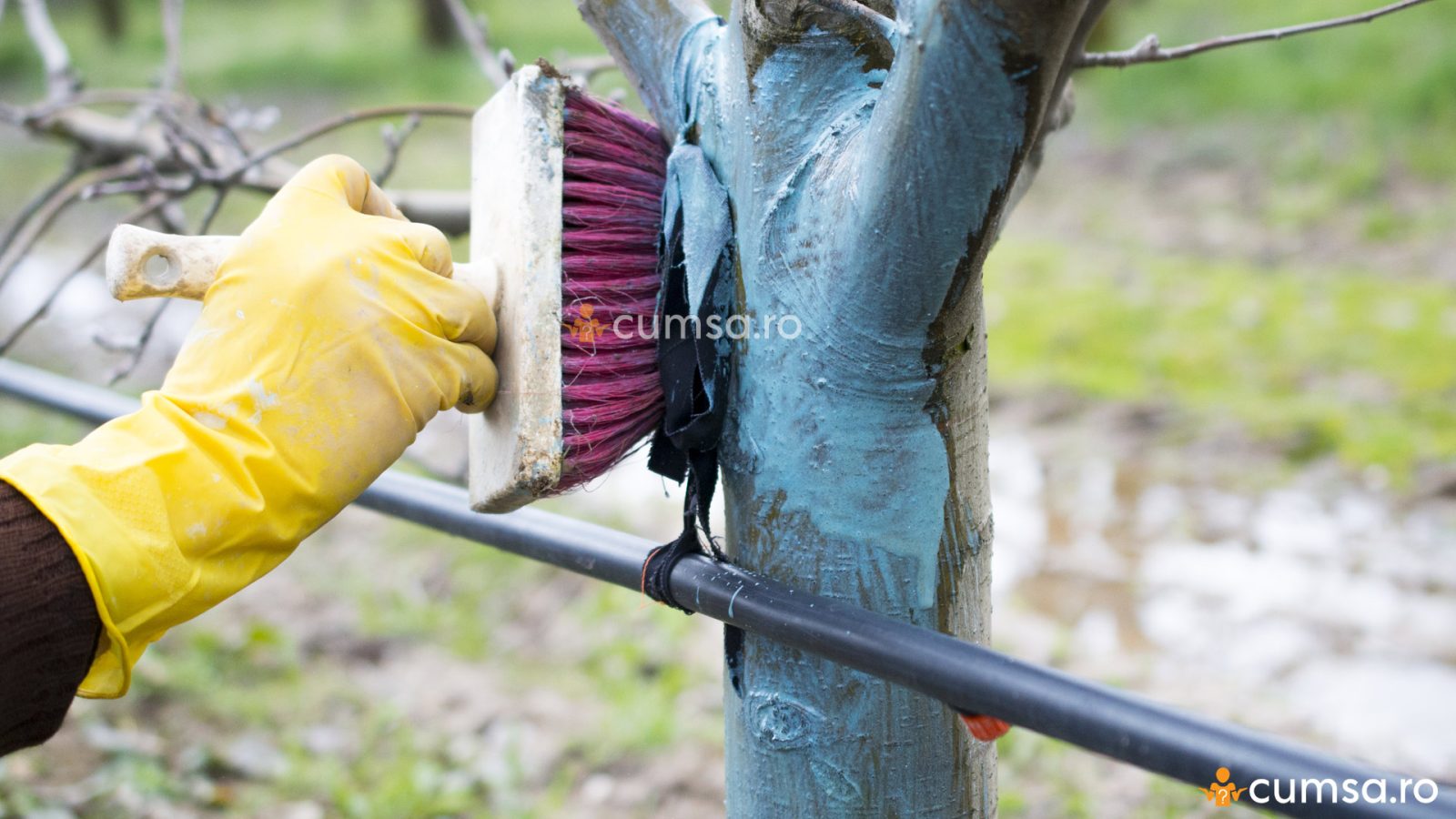 Cum sa folosesti piatra vanata si care este cea mai buna perioada ...