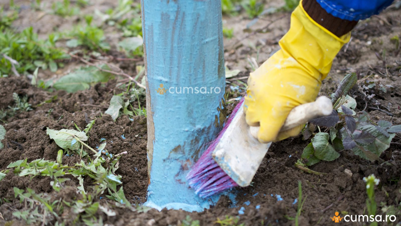 Cum sa folosesti piatra vanata si care este cea mai buna perioada ...