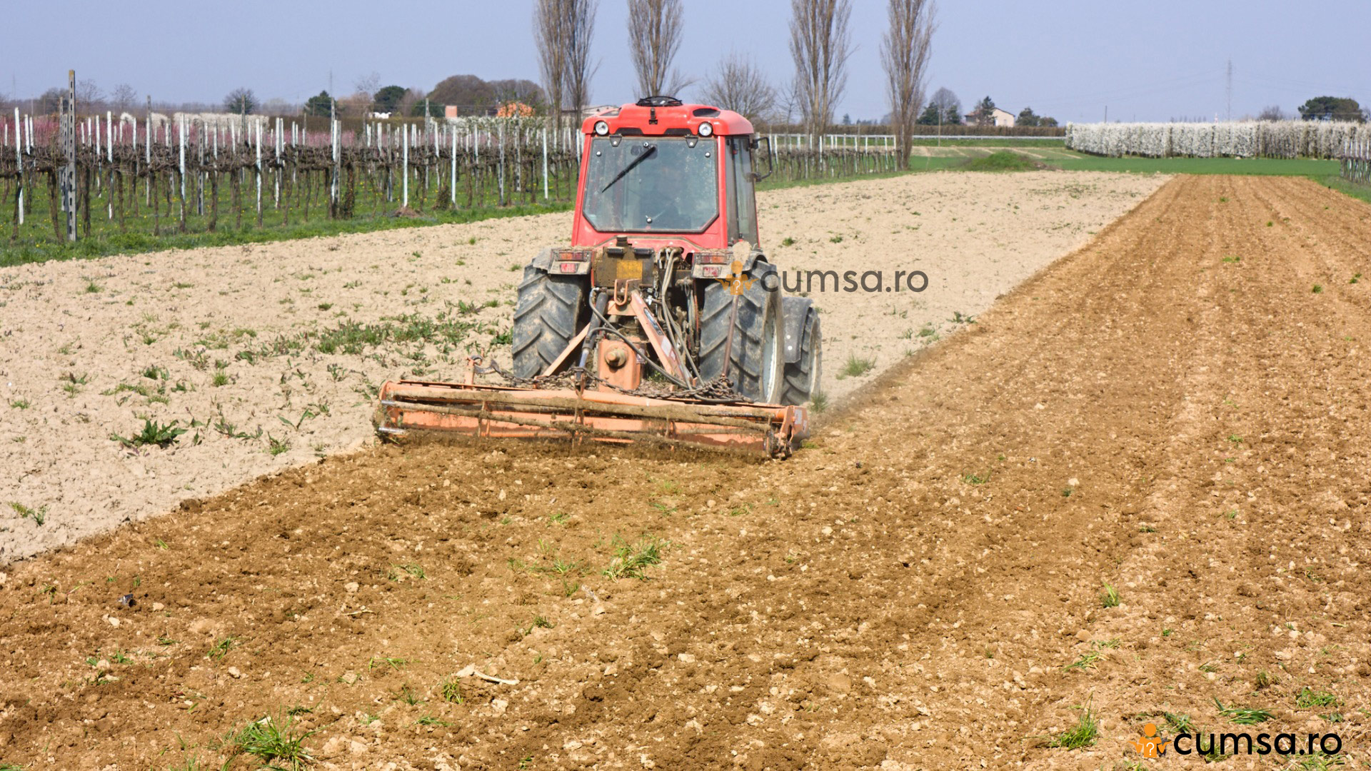 Cum sa faci plantarea merilor toamna si care sunt pasii - cumsa.ro