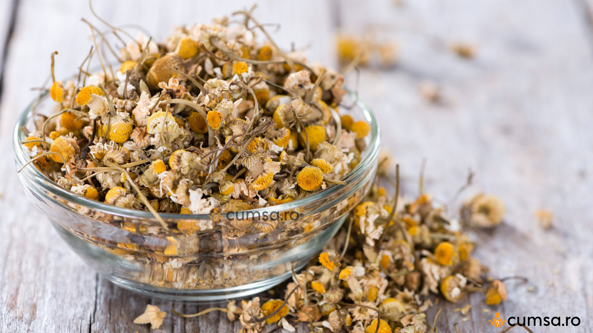 Cum sa folosesti musetelul. Proprietati, beneficii, utilizare si ...