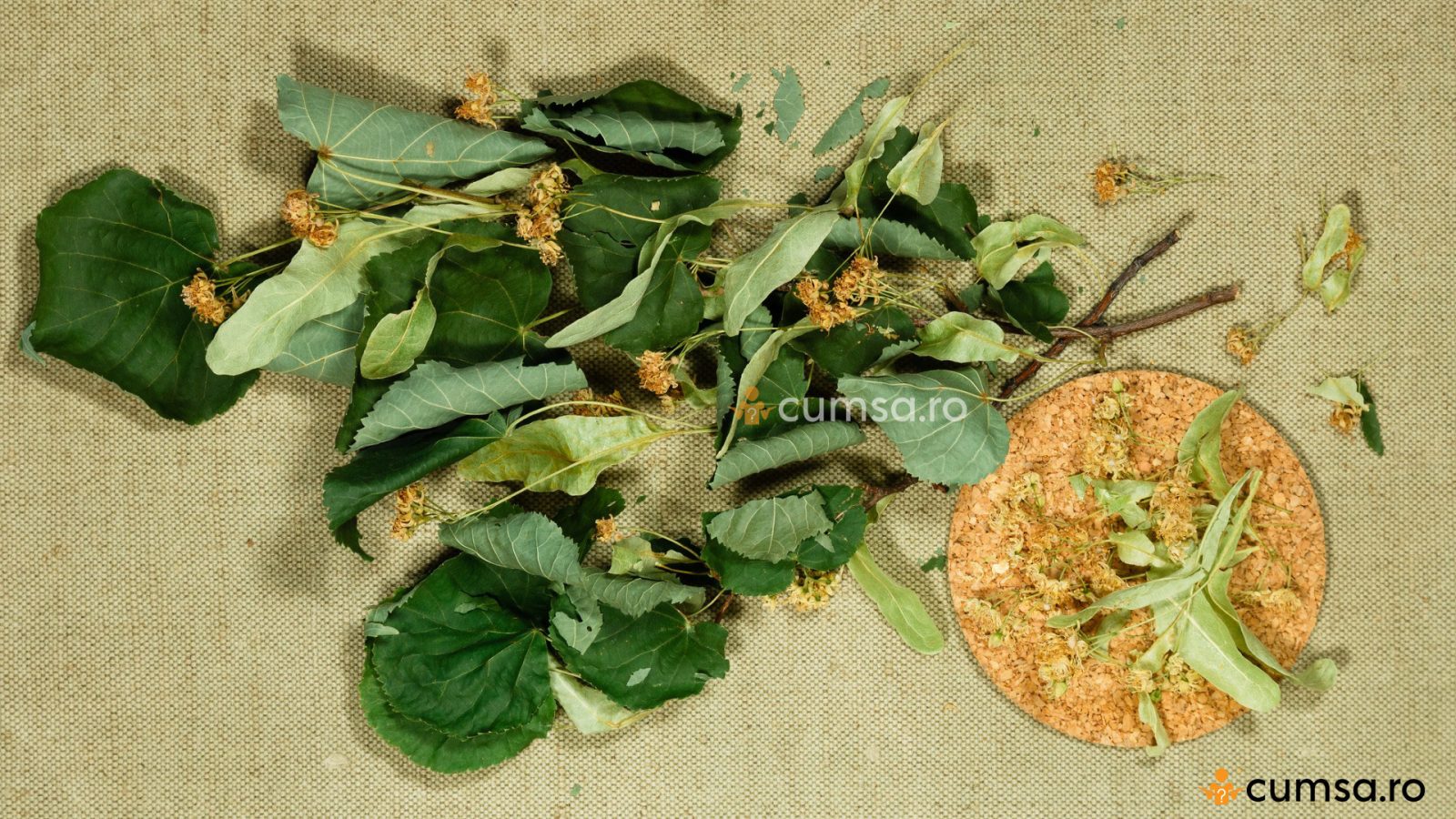 Cum sa folosesti florile de tei. Beneficii, proprietati, utilizare ...