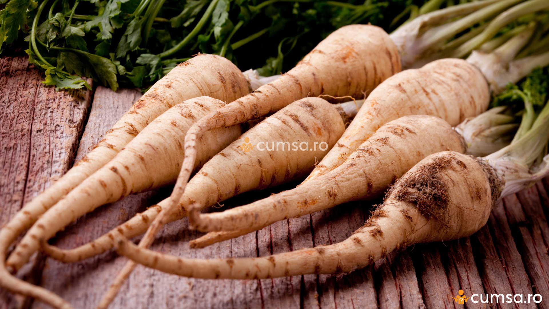 Patrunjel semanat toamna. Cum sa o faci in mod corect - cumsa.ro