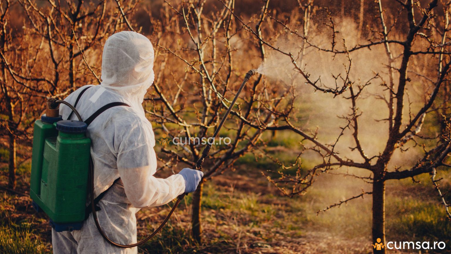 Stropiri de iarna la pomi. Cum sa le faci si ce substante sa folosesti ...
