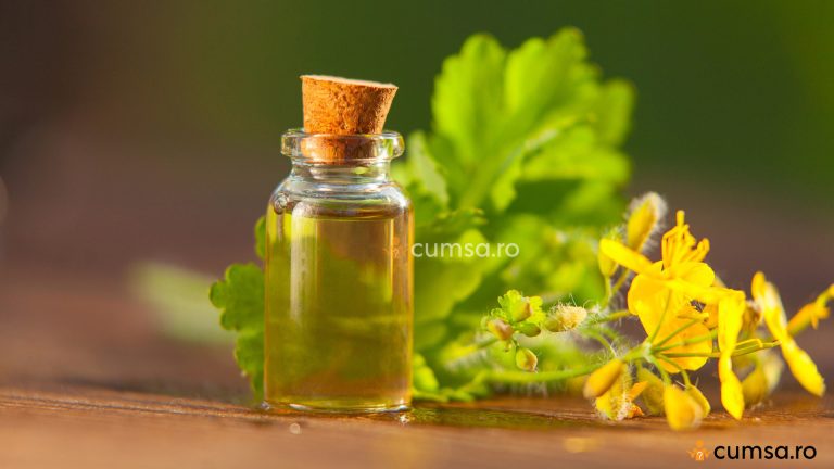 Cum sa folosesti rostopasca. Proprietati, beneficii, utilizare si ...