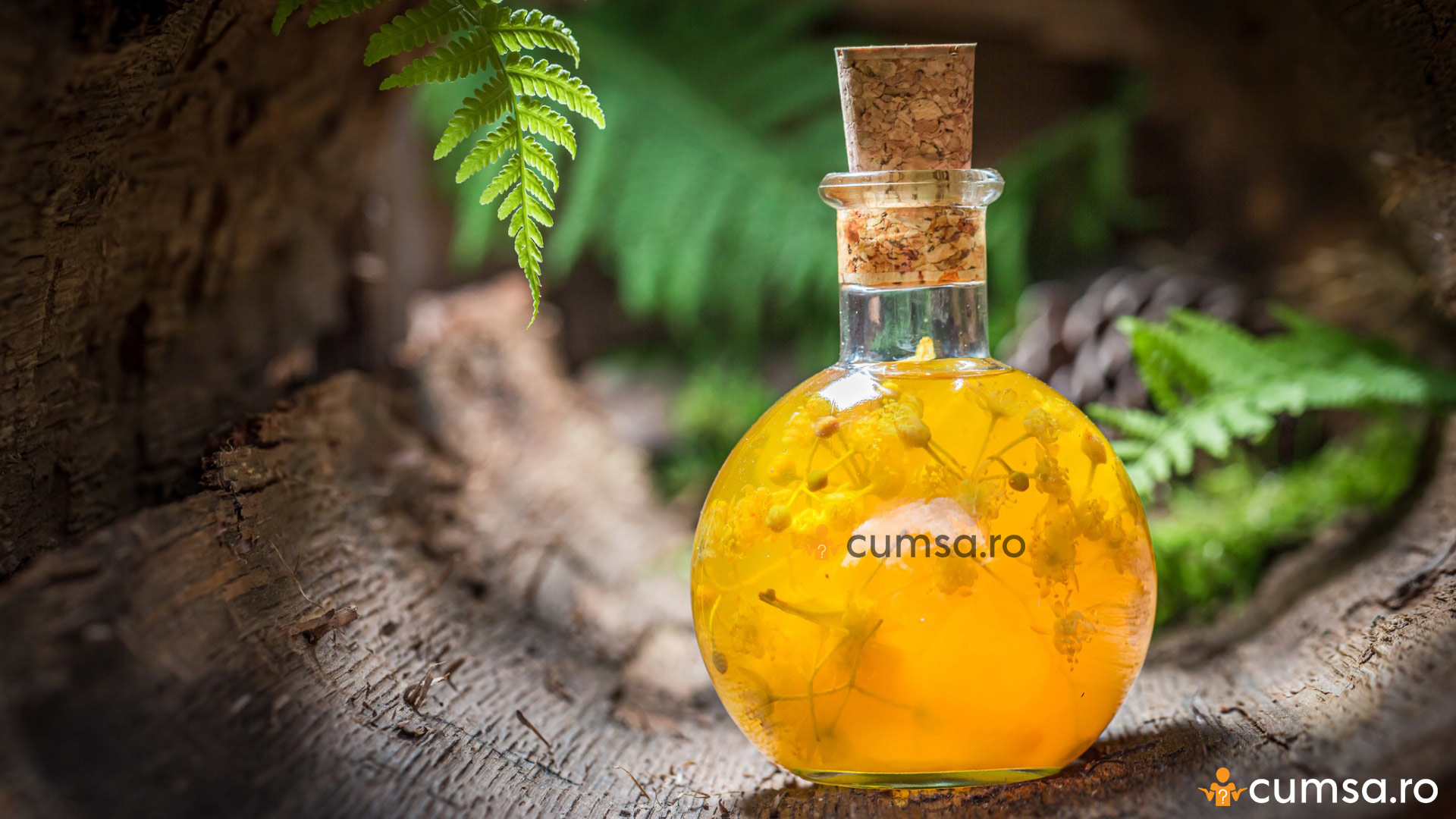 Cum sa folosesti florile de tei. Beneficii, proprietati, utilizare ...