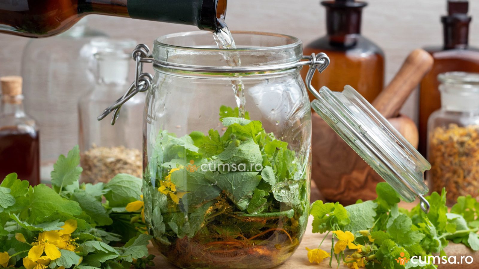 Cum sa folosesti rostopasca. Proprietati, beneficii, utilizare si ...