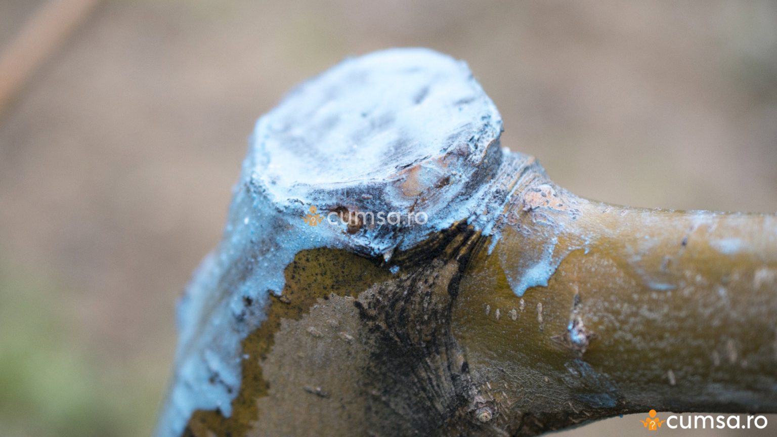 Cum sa folosesti piatra vanata si care este cea mai buna perioada ...