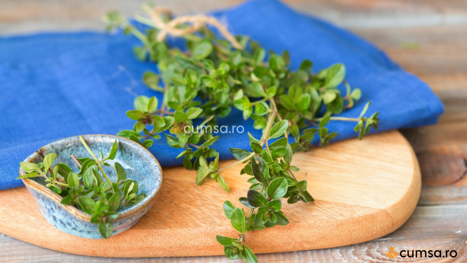 Cum sa folosesti cimbrul. Proprietati, beneficii, utilizare si ...