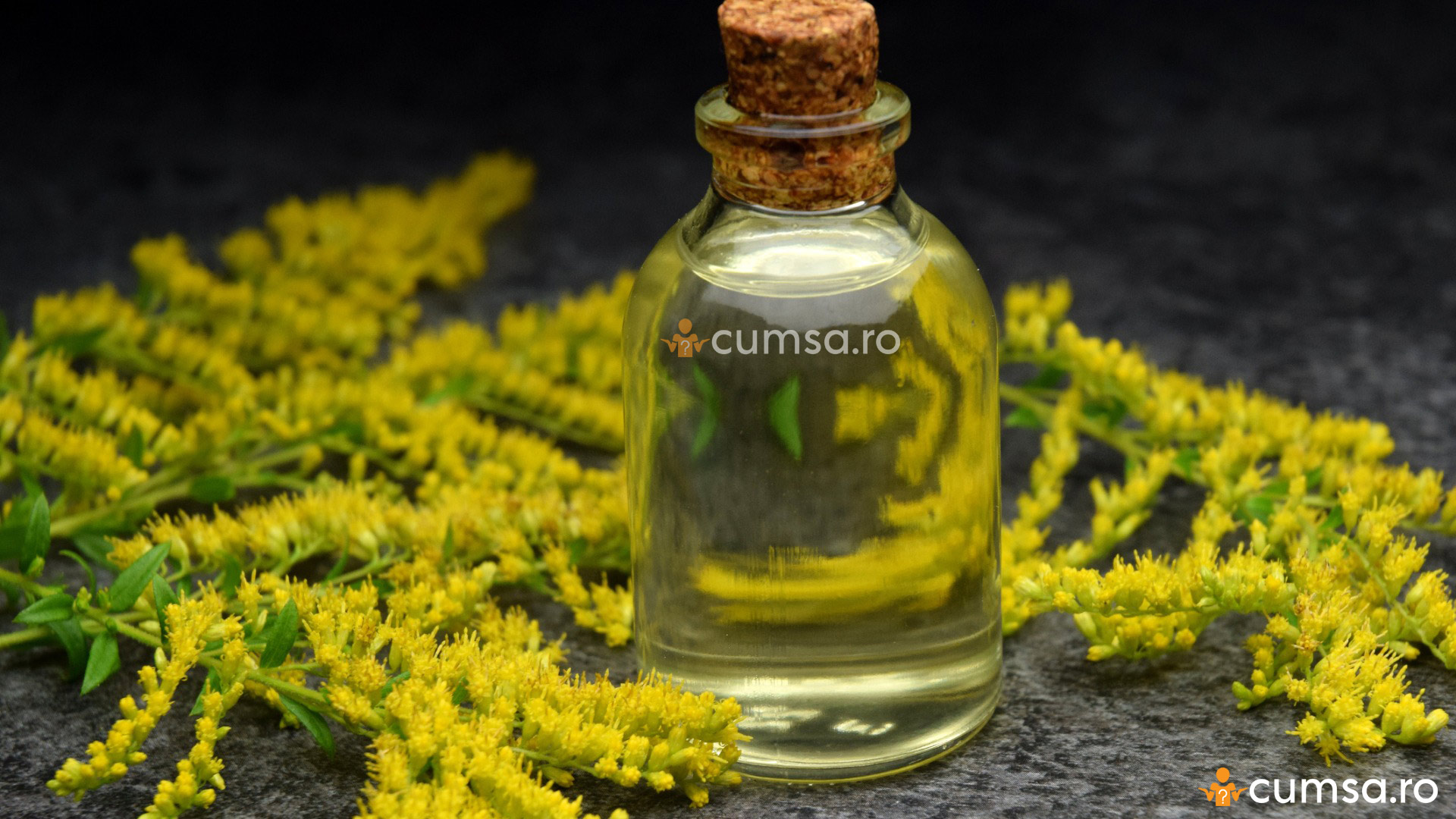 Cum sa folosesti splinuta. Proprietati, beneficii, utilizare si ...