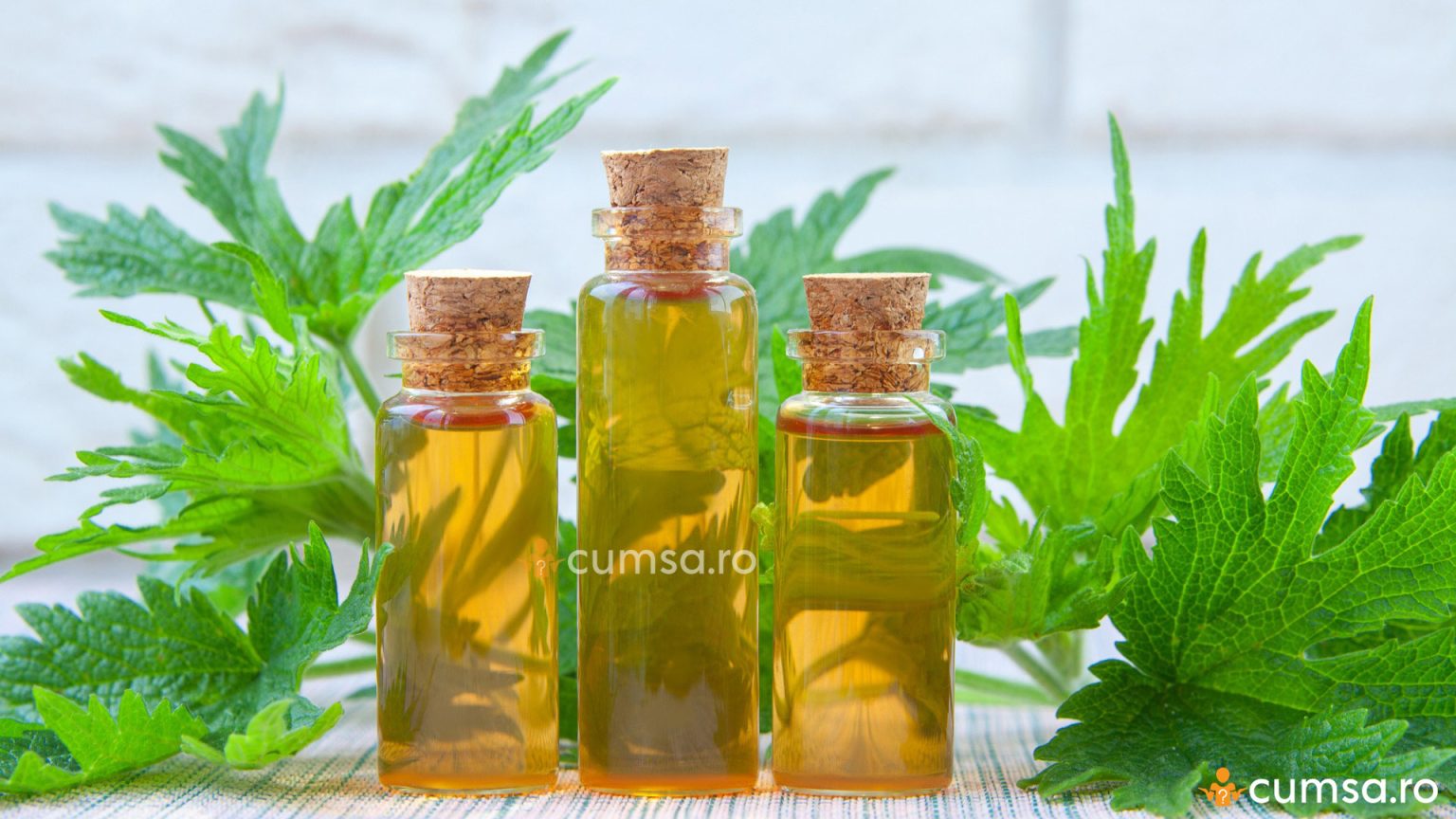 Cum sa folosesti talpa gastei. Beneficii, proprietati, utilizare ...