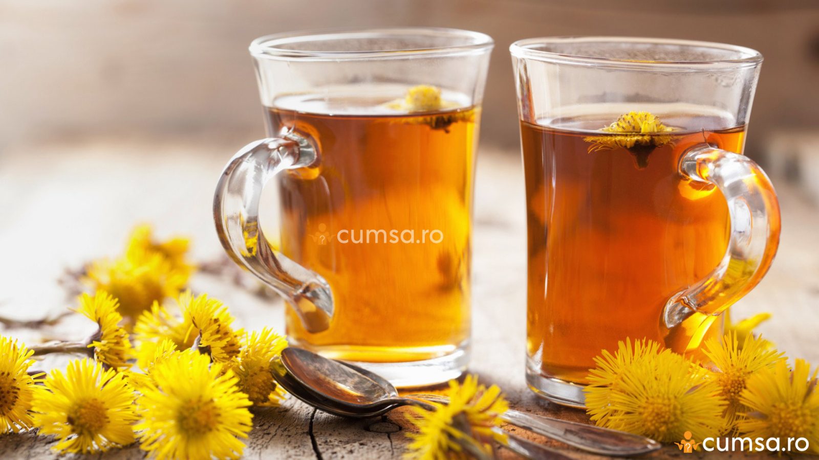 Cum sa folosesti podbalul. Proprietati, beneficii, utilizare si ...