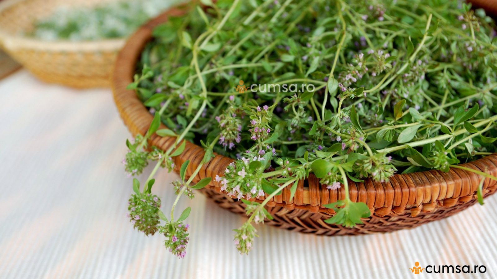 Cum sa folosesti cimbrul. Proprietati, beneficii, utilizare si ...