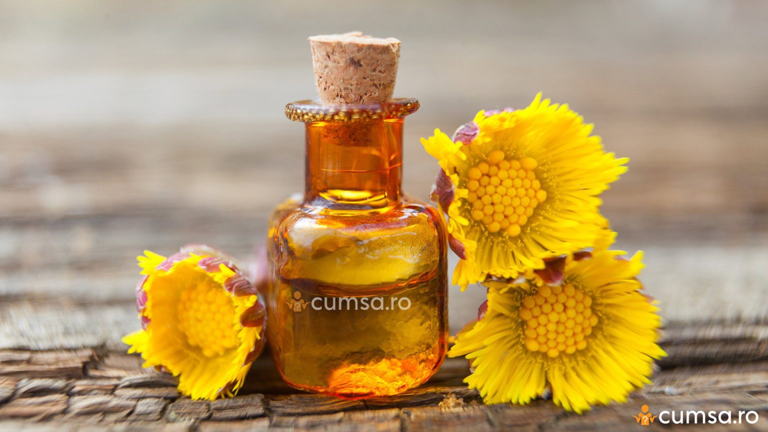 Cum sa folosesti podbalul. Proprietati, beneficii, utilizare si ...