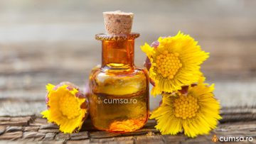 Cum sa folosesti podbalul. Proprietati, beneficii, utilizare si ...