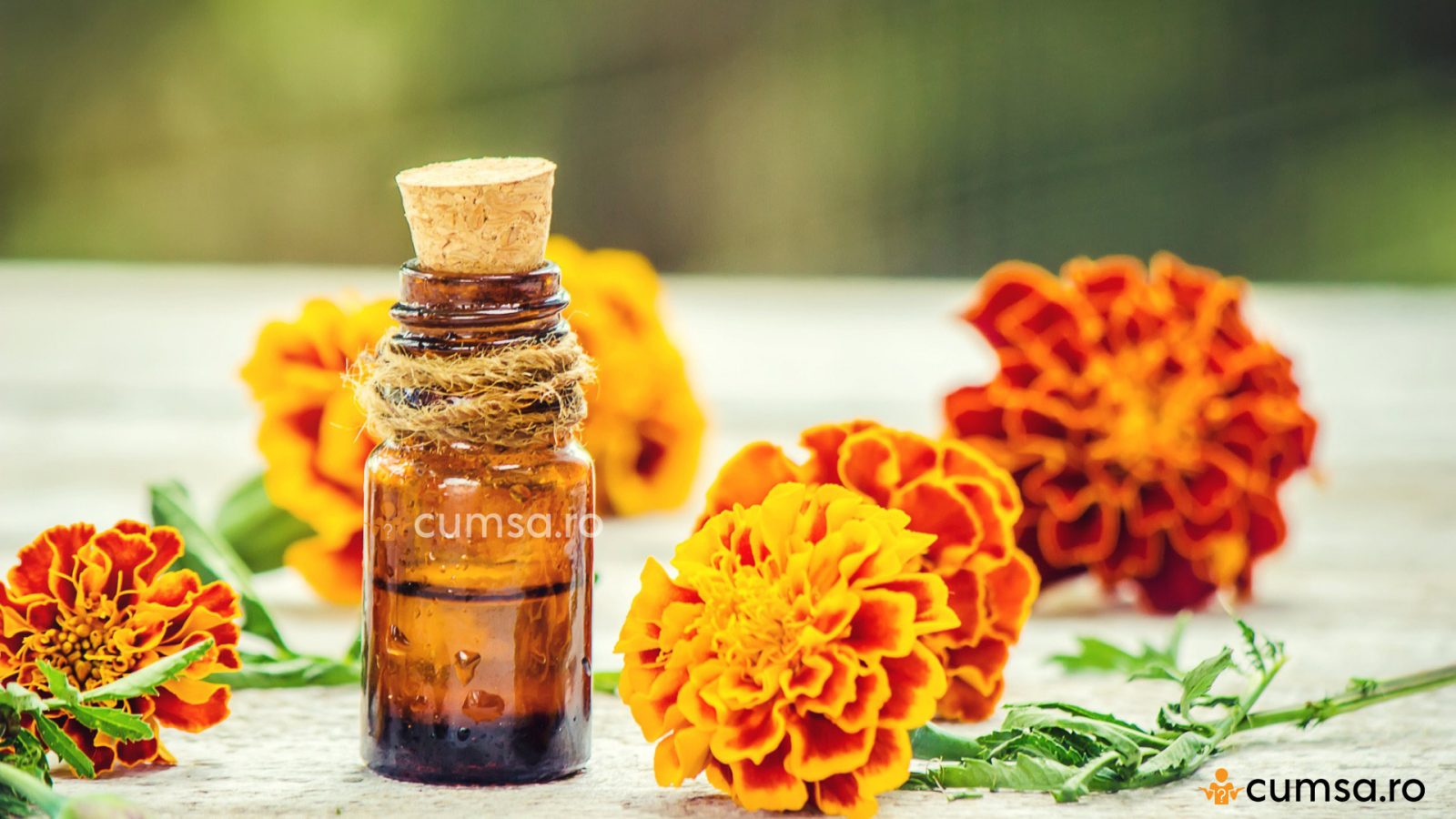 Cum sa folosesti craitele. Beneficii, proprietati, utilizare si ...