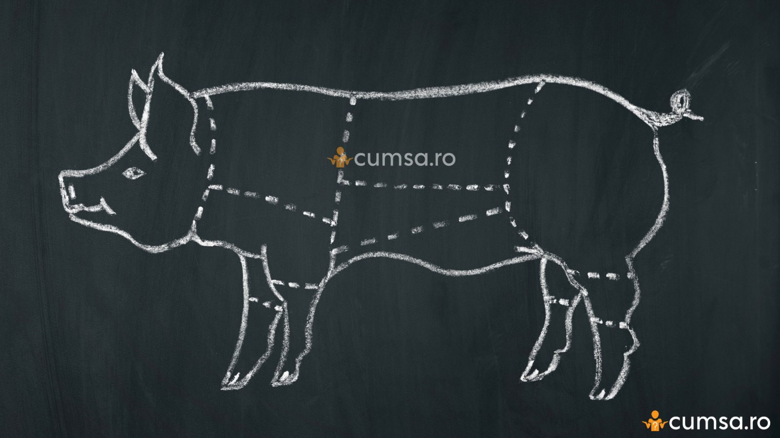 Transarea porcului. Cum sa o faci si cum portionezi carnea - cumsa.ro
